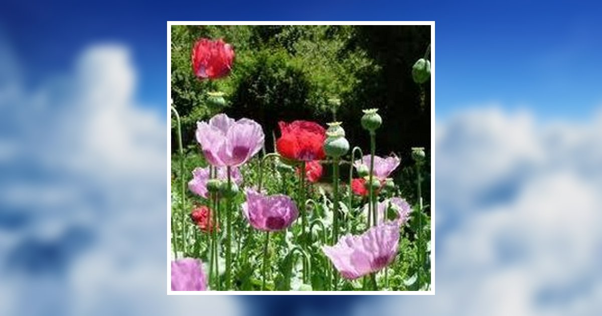 Sandra Wright Obituary June 8, 2014 - Colonial Funeral Home of Leesburg