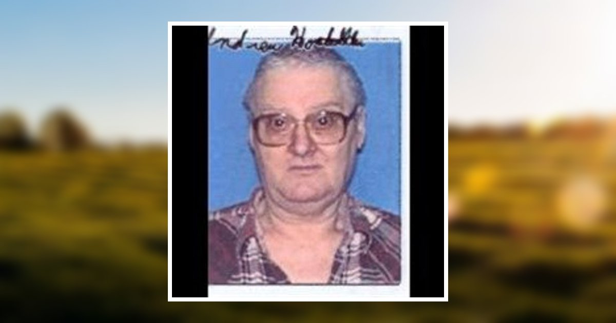 Andrew Hostetler Obituary 2009 - Haverstock Funeral Home