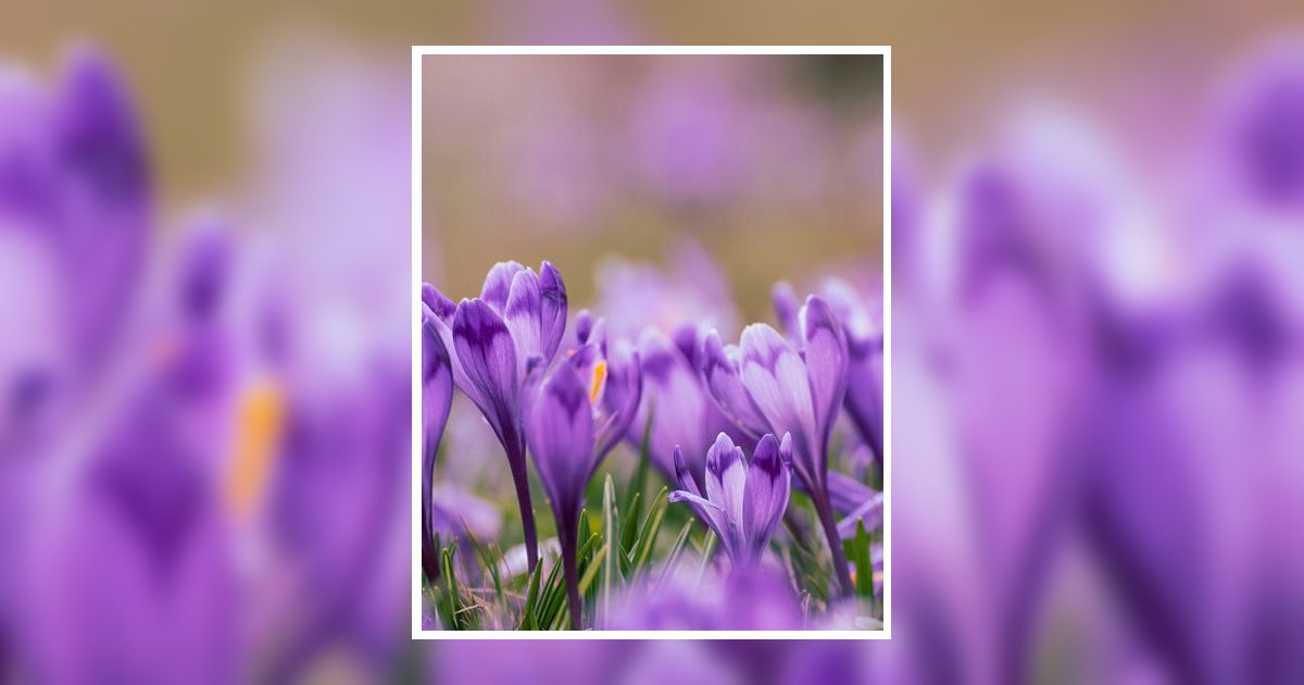 Mabel Wilson Obituary - Newcomer Dayton Mabel Wilson Obituary - Newcomer Dayton
