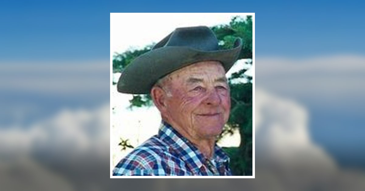 O. Norman Davis Obituary December 12, 2007 - Manning Wheatley Funeral Home