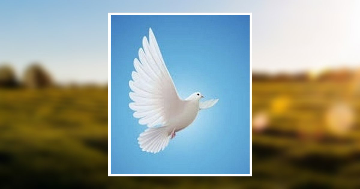 Wanda Perry Obituary April 10, 2023 - Alexander's Midway Funeral Home