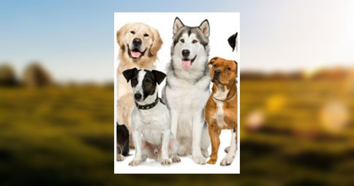 Margaret H. Wahls Obituary February 8, 2017 - The Meyers and Givnish ...