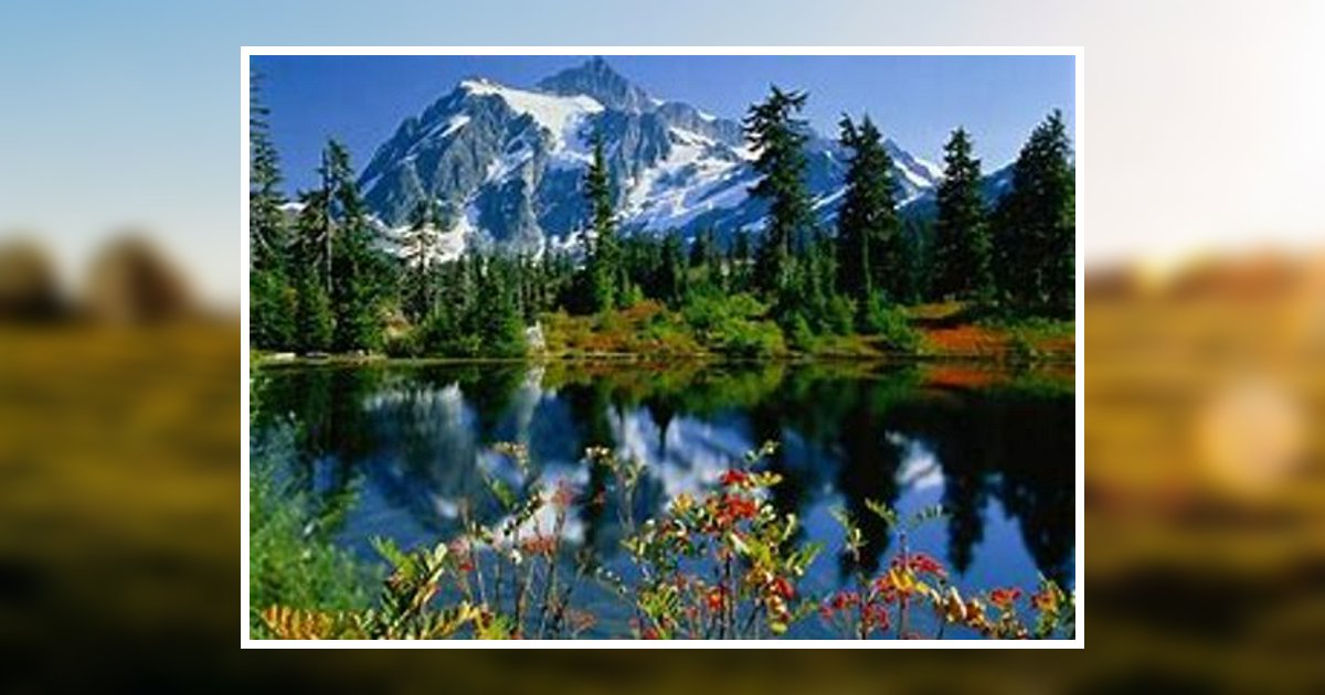 Kenneth Sharp Obituary October 22, 2022 - Buffalo Hill Funeral Home ...