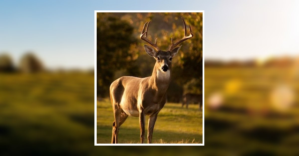 David Eversole Obituary May 7, 2023 - Rominger Funeral Home