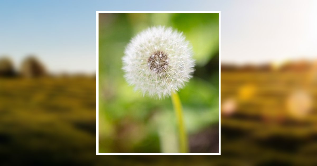 Brandy Layne Bender Obituary February 6, 2024 - Sorrells Funeral Home ...