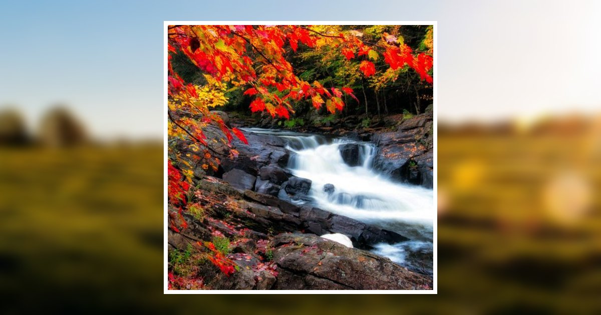 Lyle Howard Hughes Obituary November 14, 2020 - Murdoch Funeral Homes ...