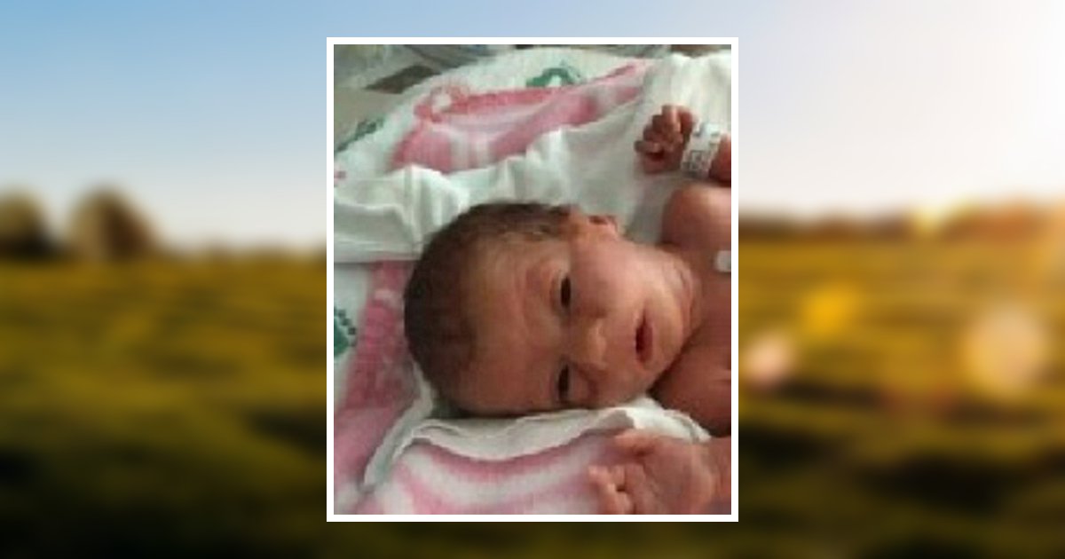 Alexis Faith Griffin Obituary 2014 - Nicholson Funeral Home