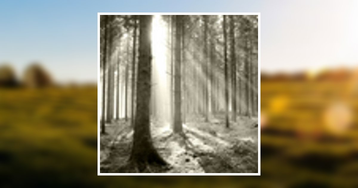 Robert Ormsbee Obituary April 25, 2014 - Royce Chedzoy Funeral Home