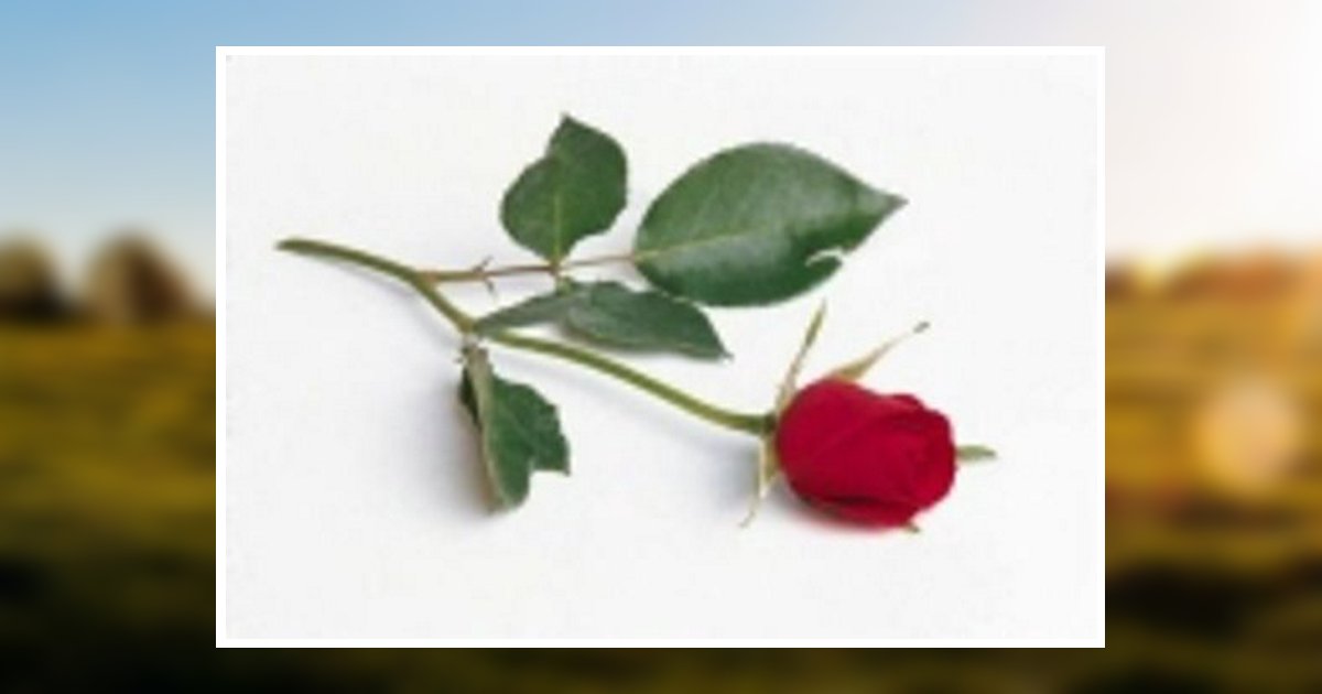 Virginia Fowler Gurney Obituary - Gentry-Newell & Vaughn Funeral Home