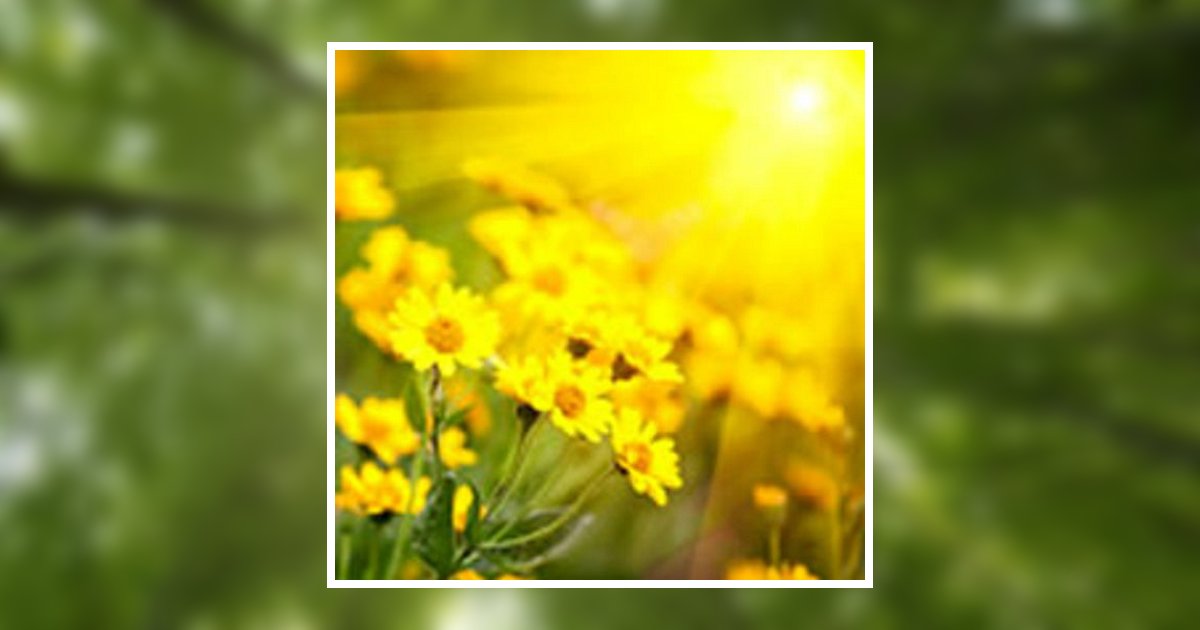 Patricia Ann Stephenson Obituary August 12, 2023 - Wilson Funeral Home