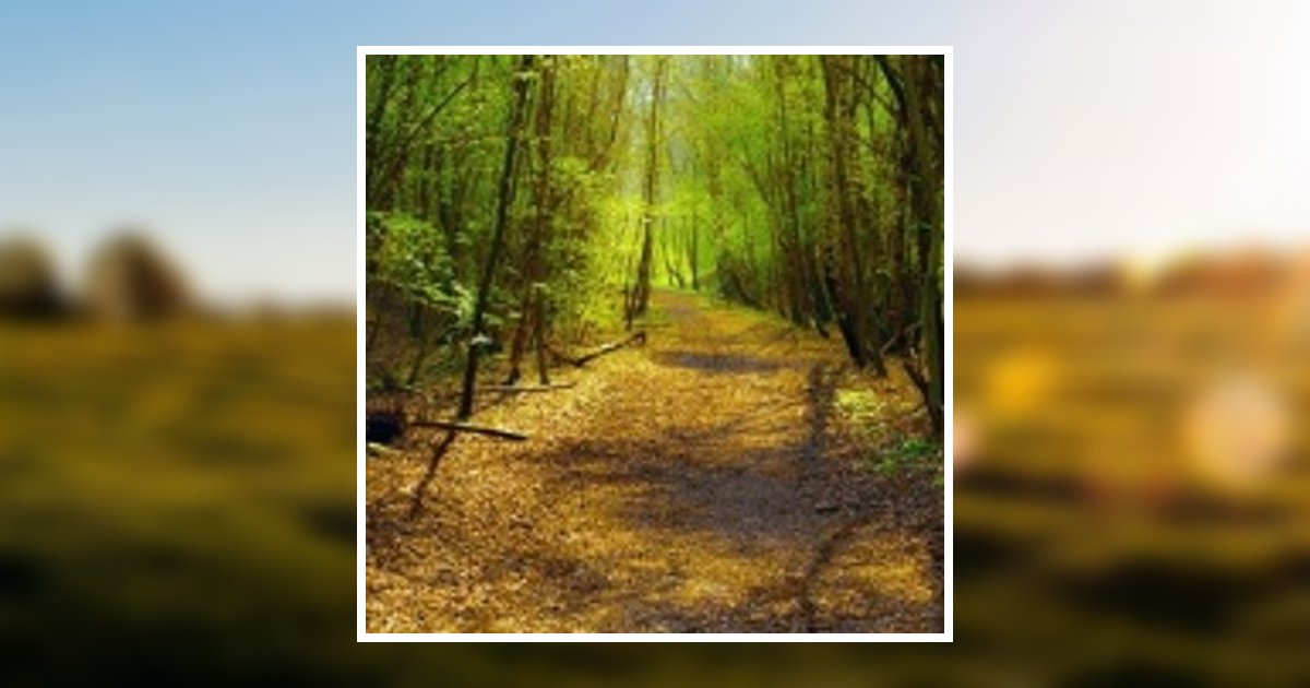 Terry Allen Woosley Obituary 2017 - Northwood Park Funeral Home & Cemetery