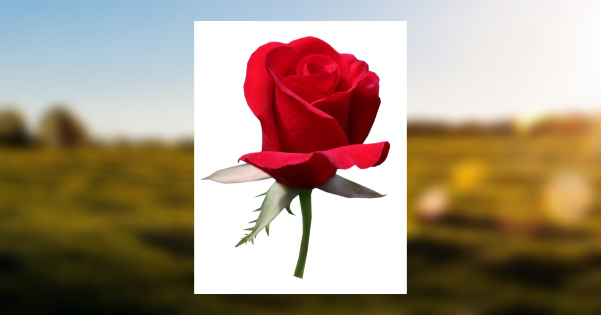 John Slane Obituary April 9, 2021 - Shaw-Davis Funeral Homes ...