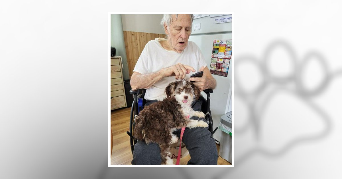 Thomas E. Harvey Obituary December 27, 2025 - Boersma Funeral Home