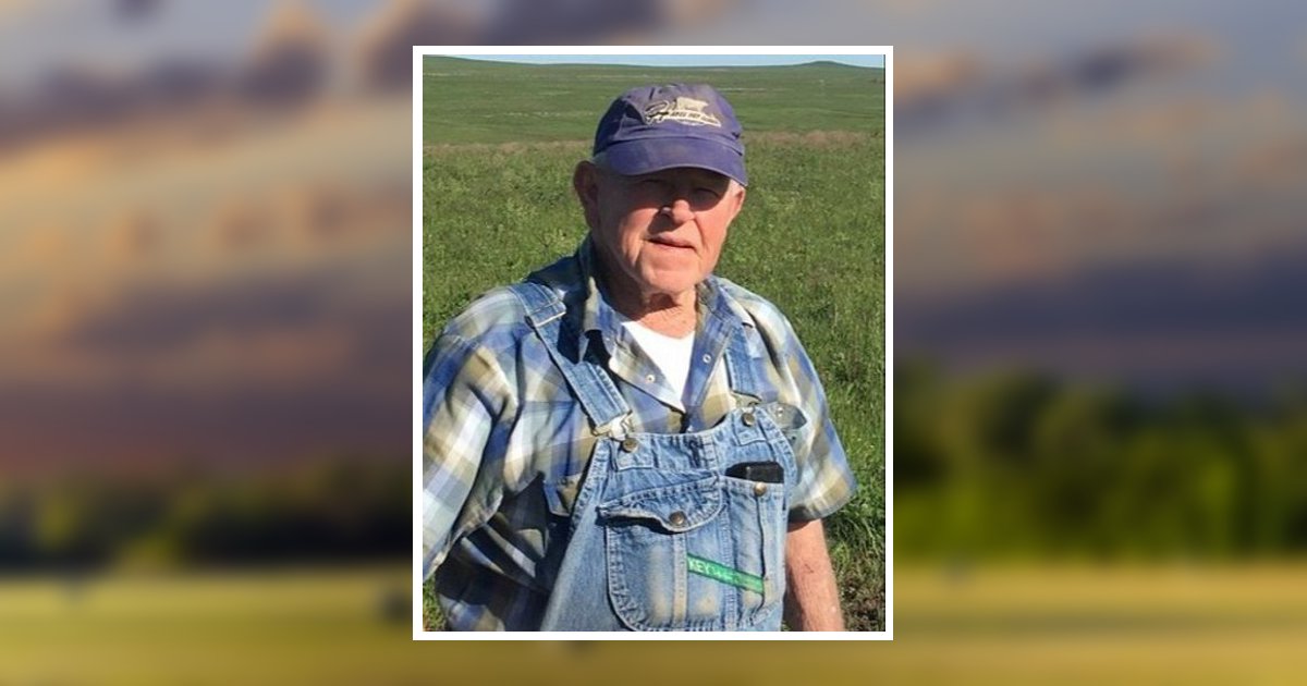 Reginald O. Reed Obituary October 17, 2023 - Tibbetts-Fischer Funeral Home