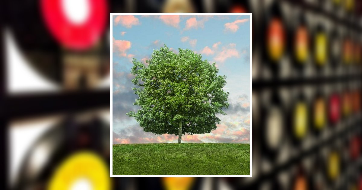 Robert Matthew Magnussen Obituary March 1, 2024 - Powell Funeral Home