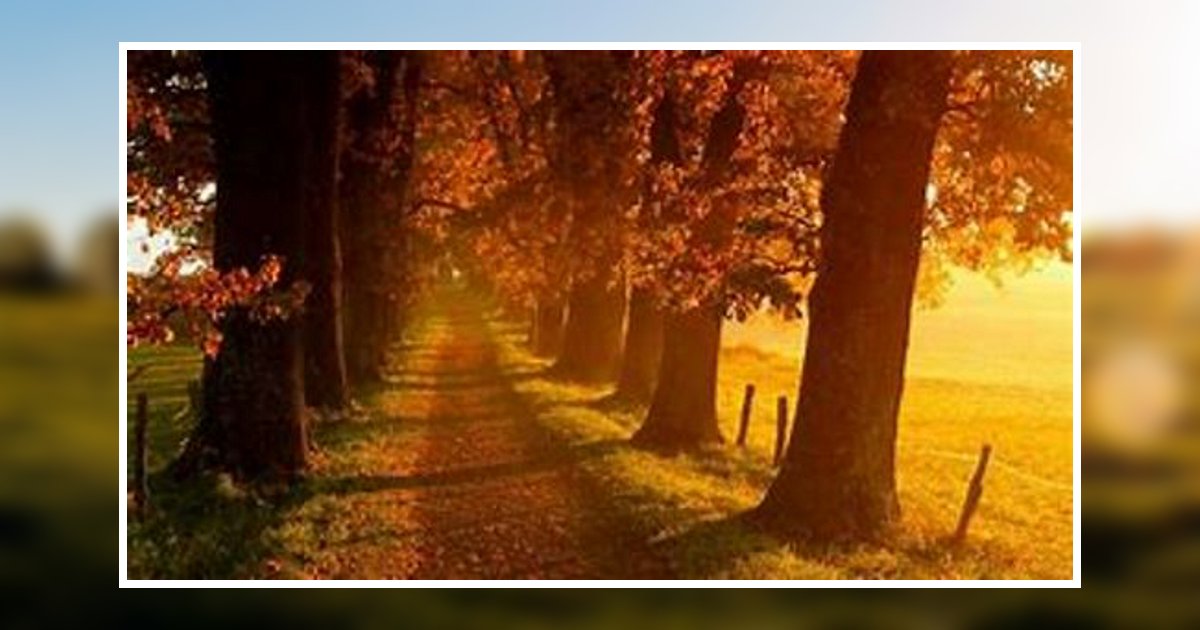 Richard Linder Obituary February 11, 2023 - Buffalo Hill Funeral Home ...