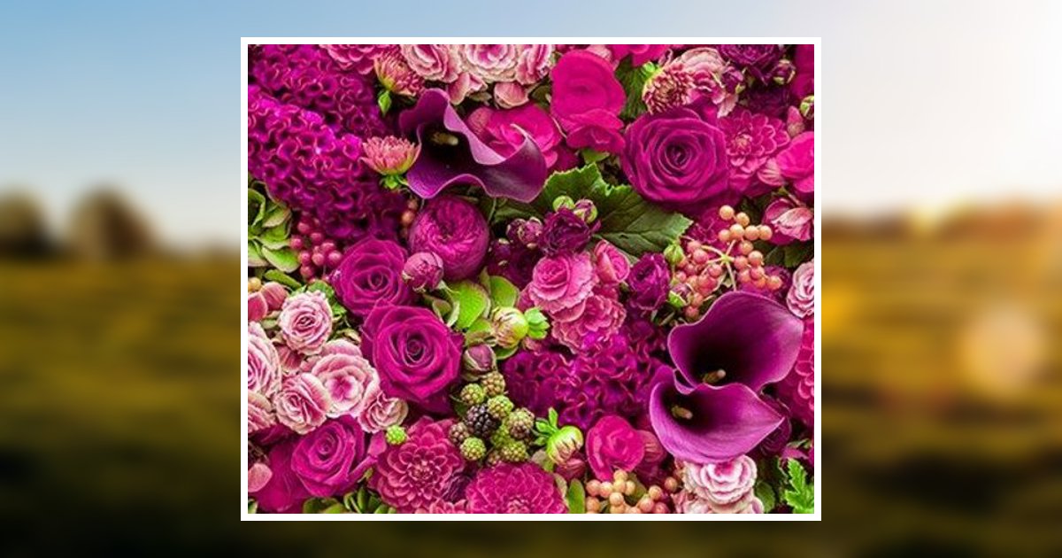 Deborah R. Clapp Obituary November 9, 2022 - Bowman Funeral Directors