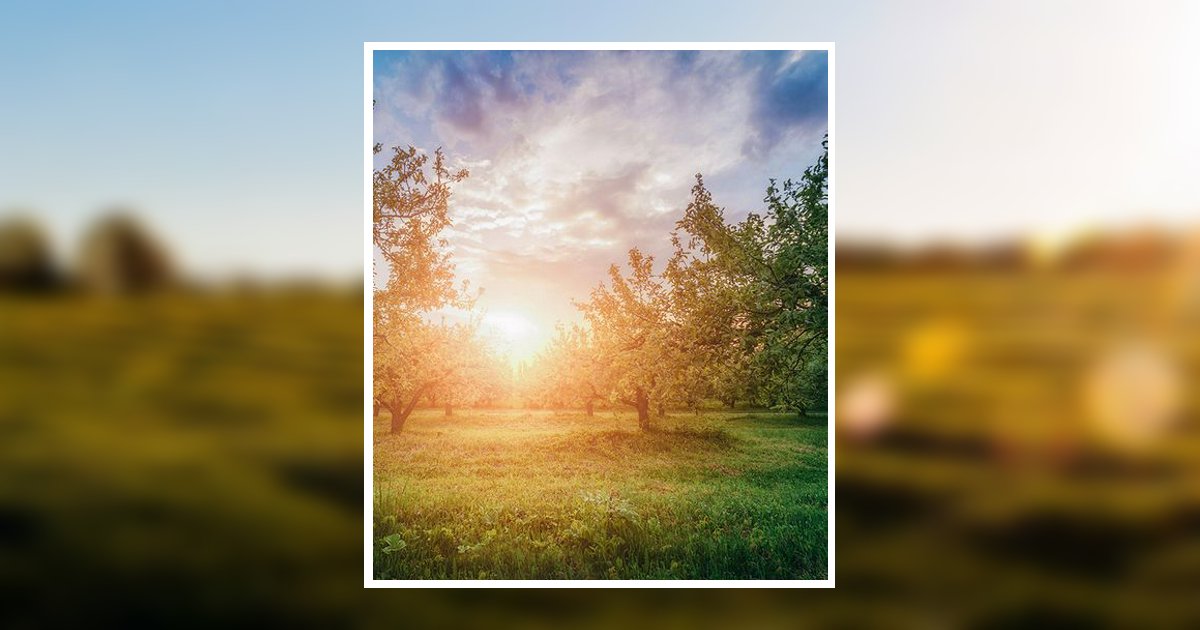 Robert Faul Obituary November 13, 2013 - Edgington Funeral Home