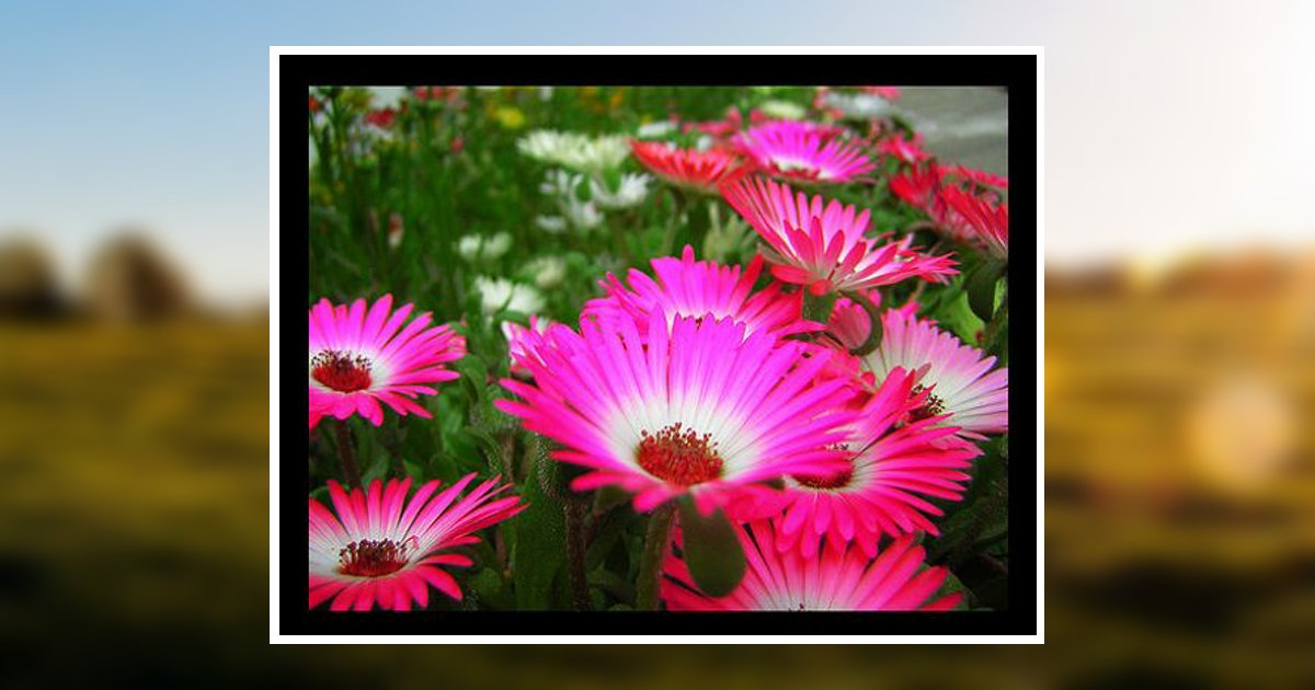 Elizabeth Anne Bulger Obituary April 23, 2010 - Concord Funeral Home