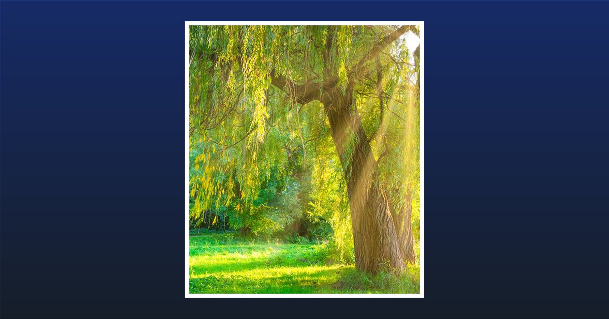 David R. Lee Obituary February 17, 2025 - Buffalo Hill Funeral Home ...