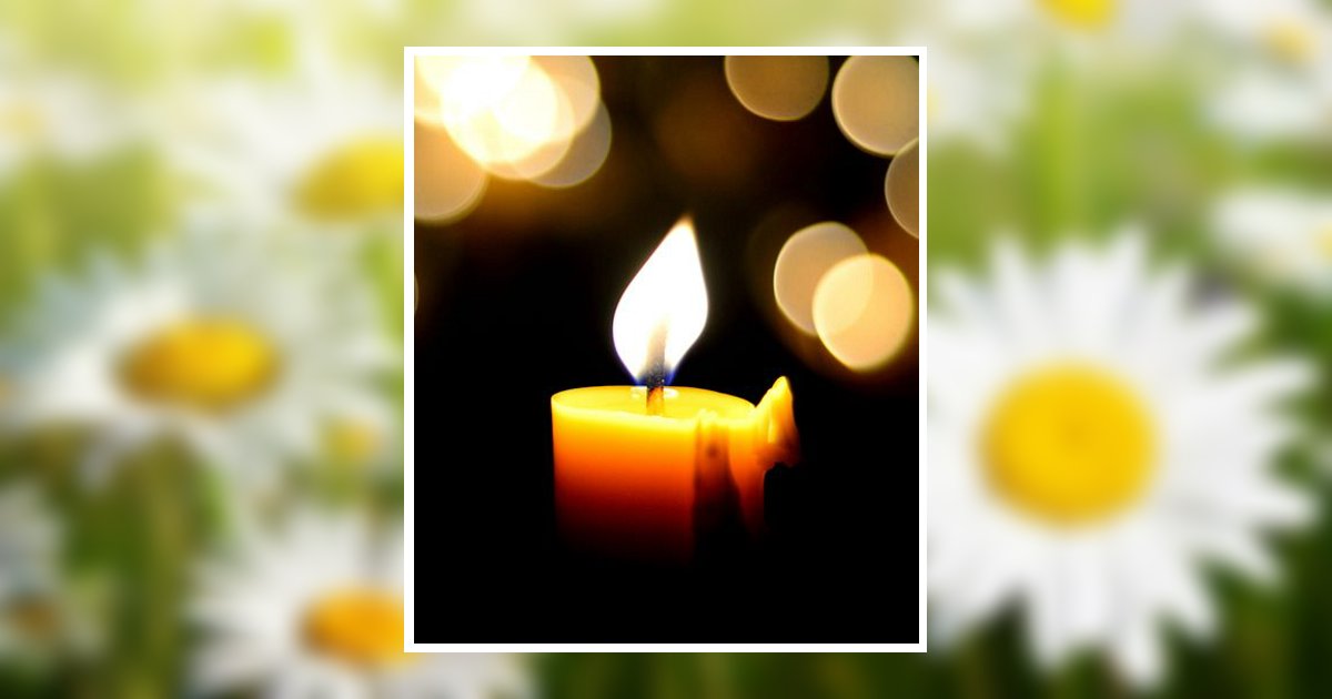 Marcia Chernoff Obituary - Joseph Levine and Sons