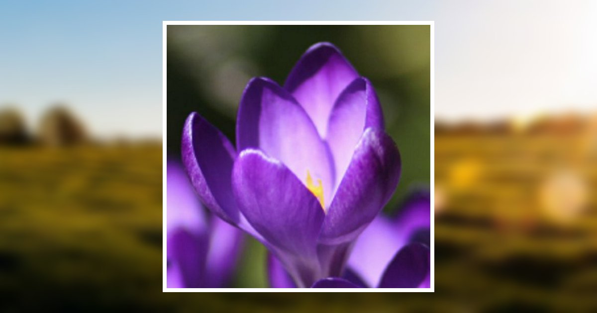 Patricia Ewen Foley Obituary August 24, 2019 - Newcomer Green Bay