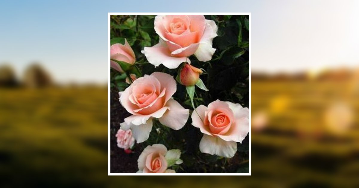 Elizabeth Burwell Dillard Wood Obituary September 14, 2019 - Faulkner ...