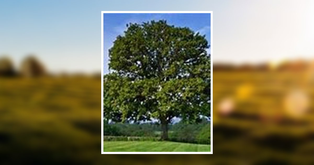 James Lloyd Barber Obituary July 5, 2020 - Wright Funeral Home and ...