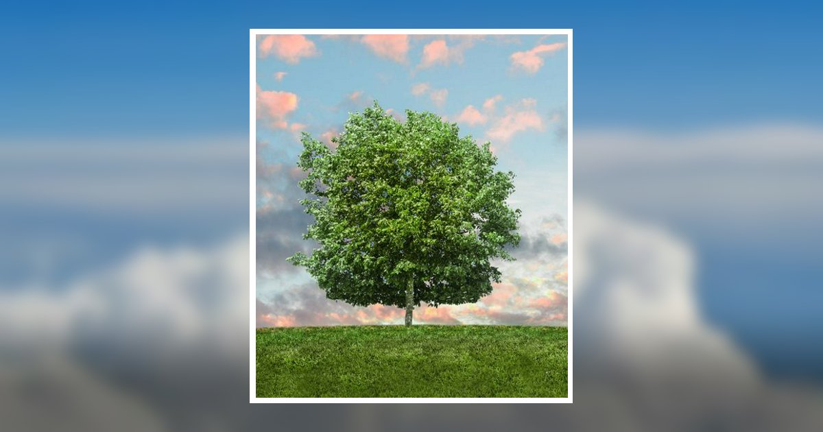 Craig S. LINDSTROM Obituary August 28, 2025 - Olney Foust Funeral Homes ...