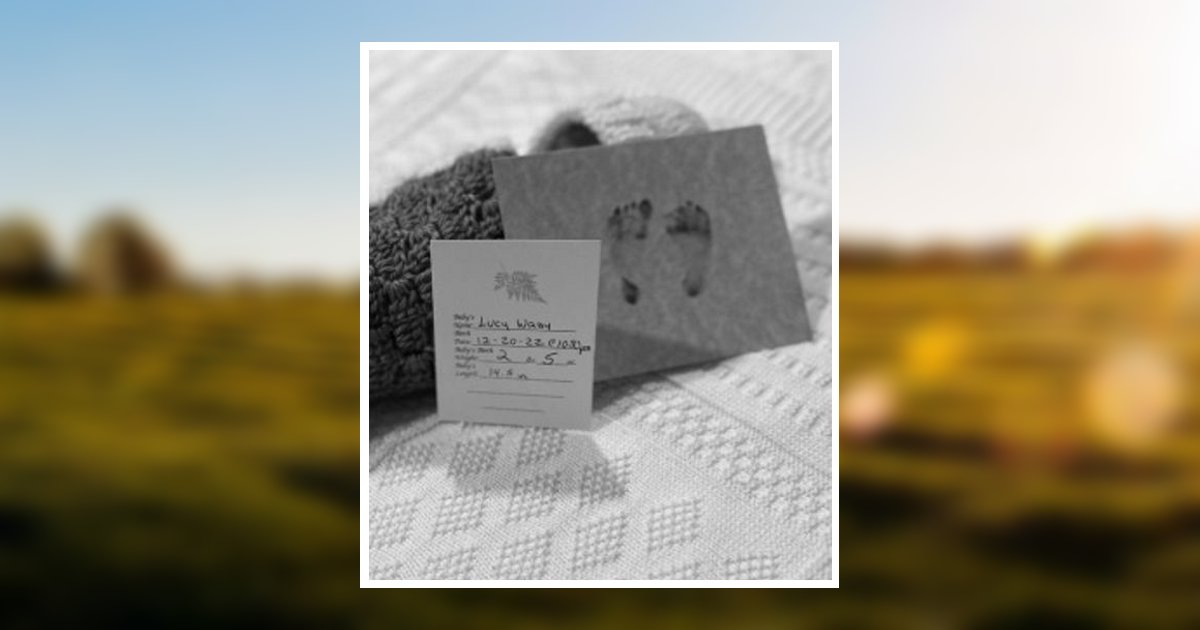 Lucy Wray Obituary December 20, 2022 - Townes Funeral Home & Crematory