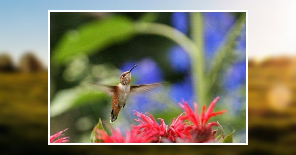 Ronald Gorrell Obituary October 20, 2013 - Casada Funeral Home