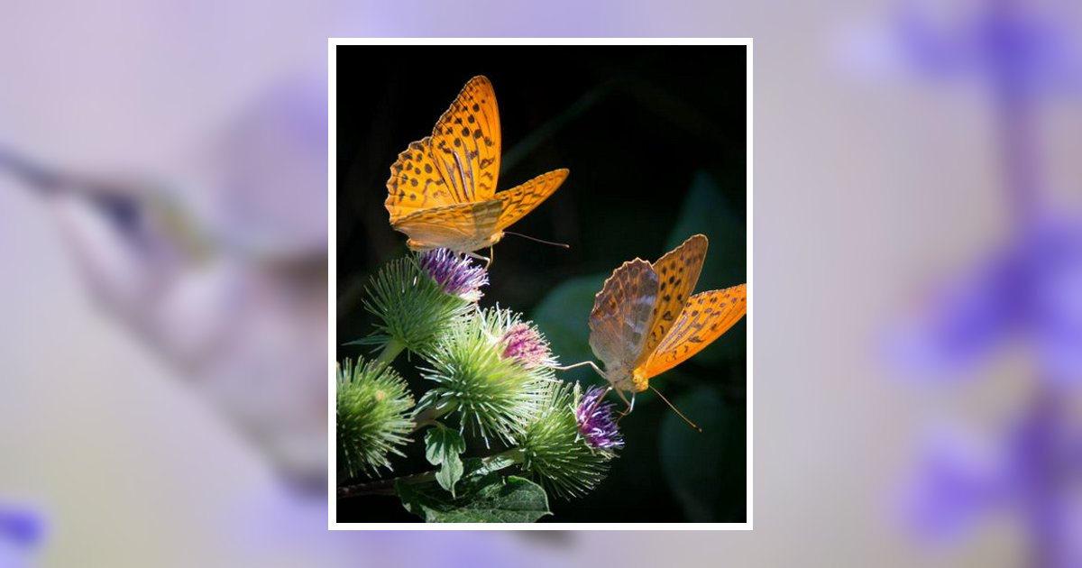 Deloris Ann Robinson Obituary June 22, 2024 - Rominger Funeral Home