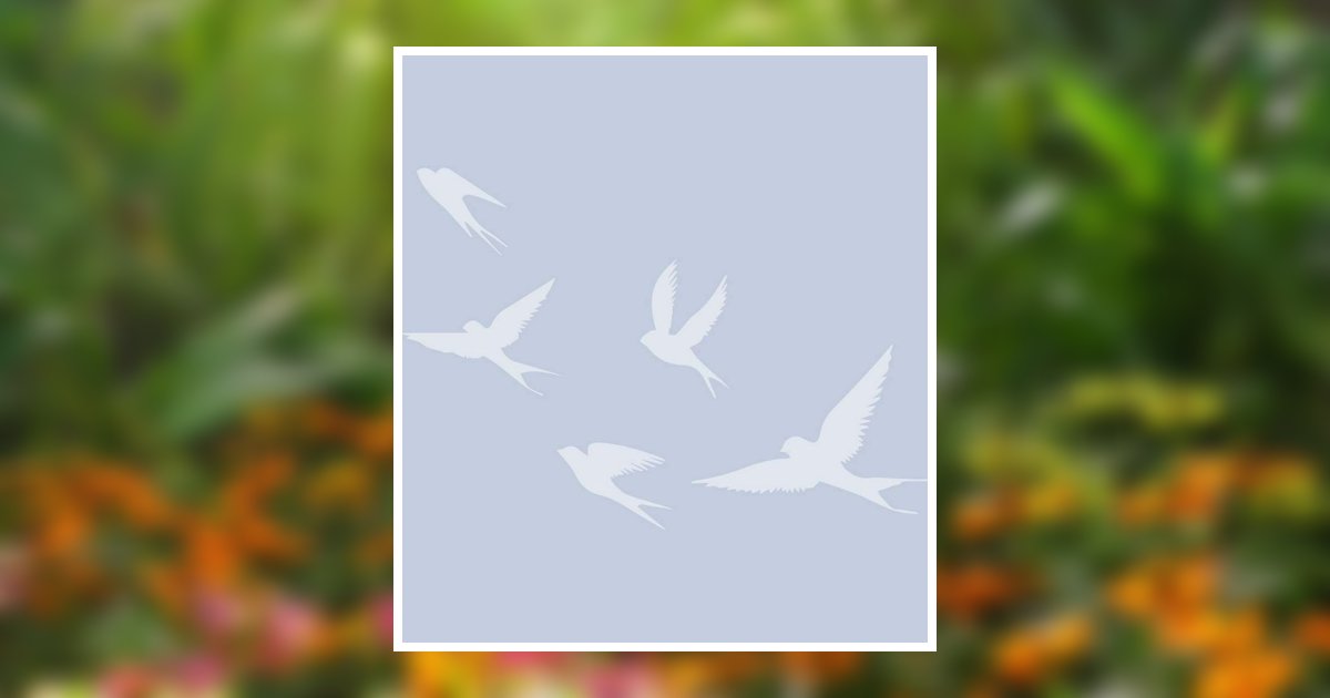 Elaine Faye Nightingale Obituary December 29, 2025 - Ferguson Funeral Home