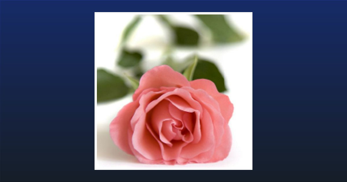 Nevaeh Jade Hipp Obituary January 14, 2012 - Newcomer Dayton