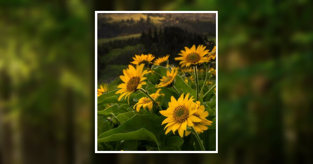 Heather Slone Obituary July 30, 2024 - Halo Cremations