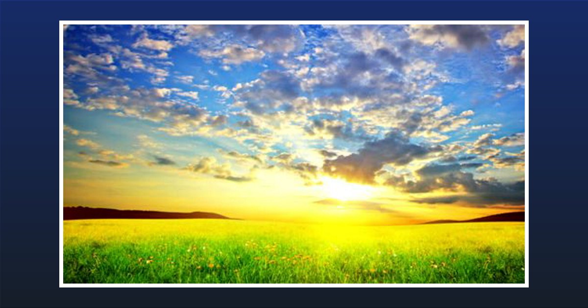 Earl Hoenshell Obituary March 31, 2025 - Rea Funeral Chapel