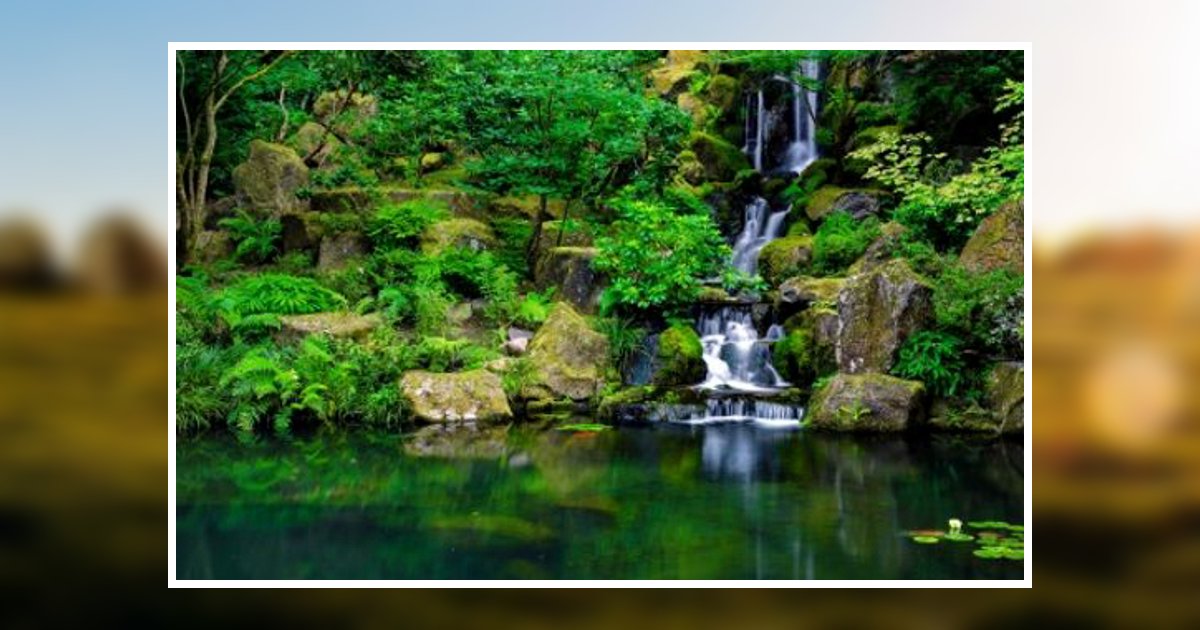 Jeff Collins Obituary January 3, 2016 - Shaw-Davis Funeral Homes ...