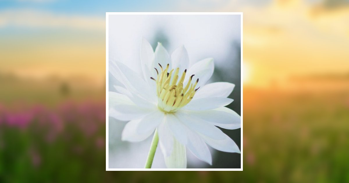 Ruth Elizabeth Reibold Punday Obituary - E. Alvin Small Funeral Home