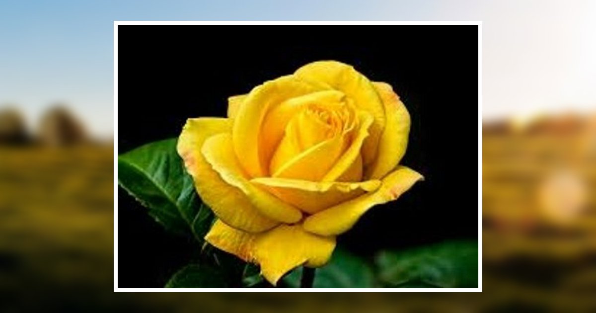 Sara E. Abele Obituary January 26, 2020 - Lewis & Gillum Funeral Homes