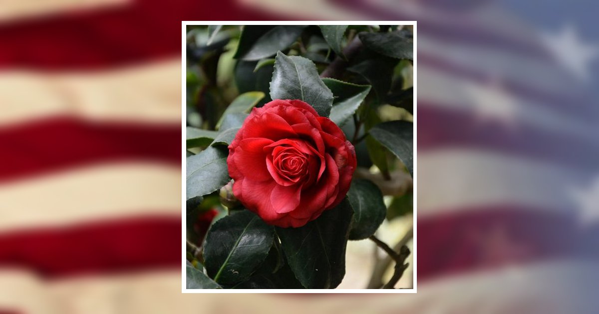 Larry "LT" Reimer Obituary December 30, 2024 - Davenport Family Funeral ...