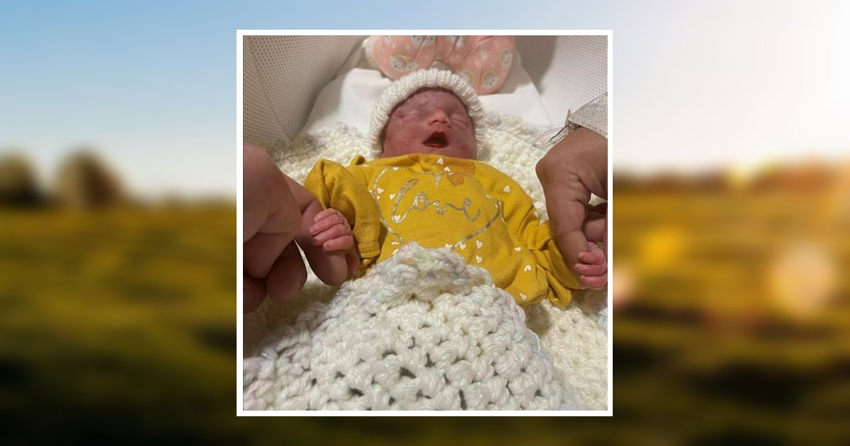 Layla Marykay Klug Obituary September 9, 2023 - Jacobson Funeral Home