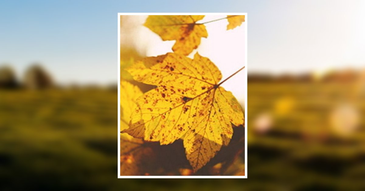 Maryann Blaszczynski Obituary October 4, 2020 - Max A. Sass & Sons ...