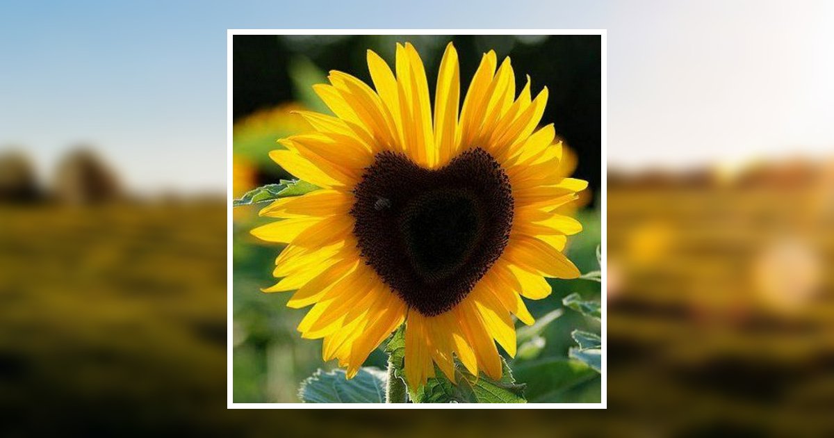 Ruby DeBry Obituary July 15, 2017 - Russon Mortuary & Crematory