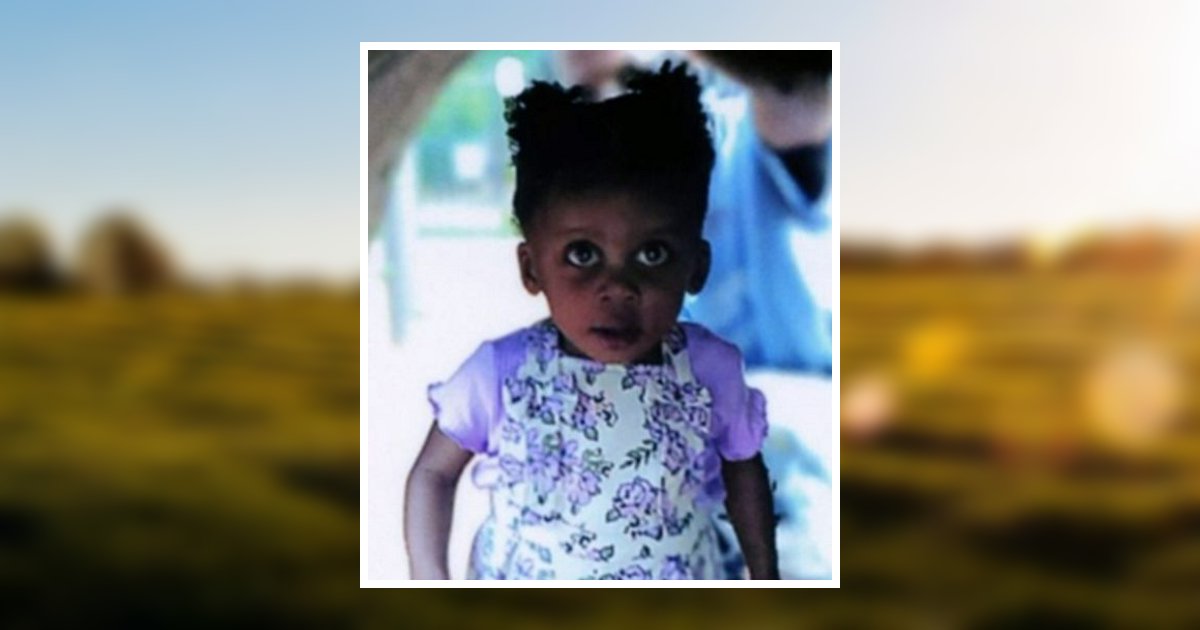 Baby Girl Rylee Williams Obituary February 28, 2023 - Watkins, Garrett ...