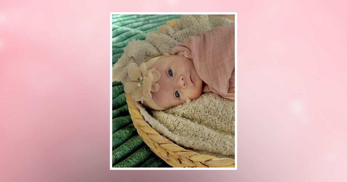 Sutton Nicole Rettig Obituary November 27, 2024 - Munz-Pirnstill ...