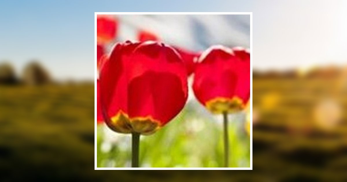 Lisa Ann Harger Obituary May 30, 2015 - Alternative Cremation & Funeral ...