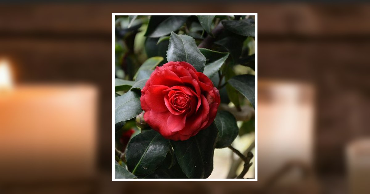 Janie Irene Burrows Obituary 2022 - Galbreaith - Pickard Funeral Chapel