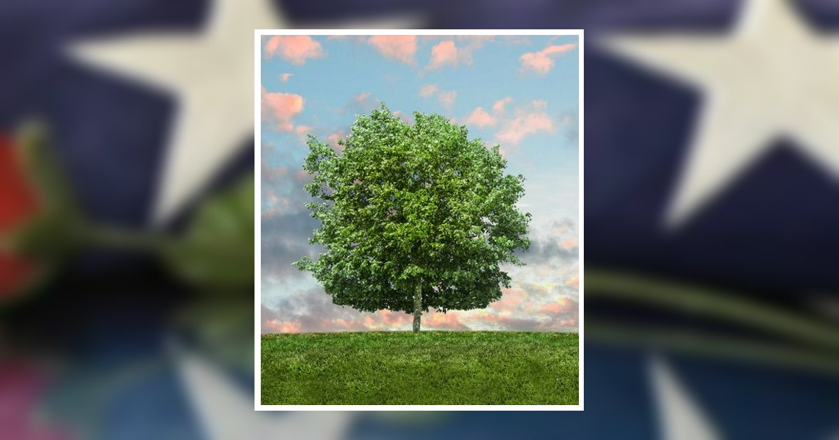 Julius D. Huth Obituary January 25, 2024 - Park Lawn Funeral Homes