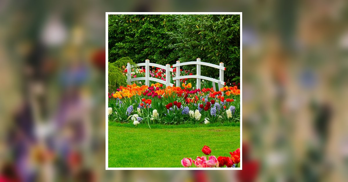 Linda M. Hauser Obituary April 26, 2025 - Beall Funeral Home