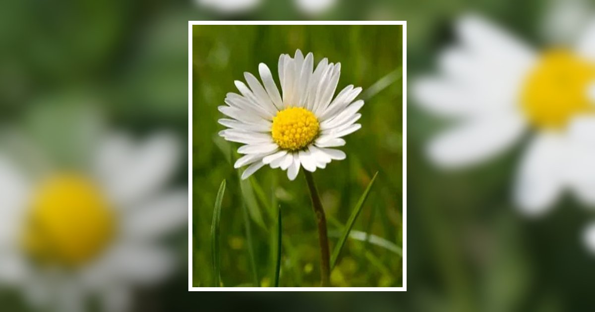 Elinor M. LeFEVRE Obituary May 4, 2012 - Sharp Funeral Homes